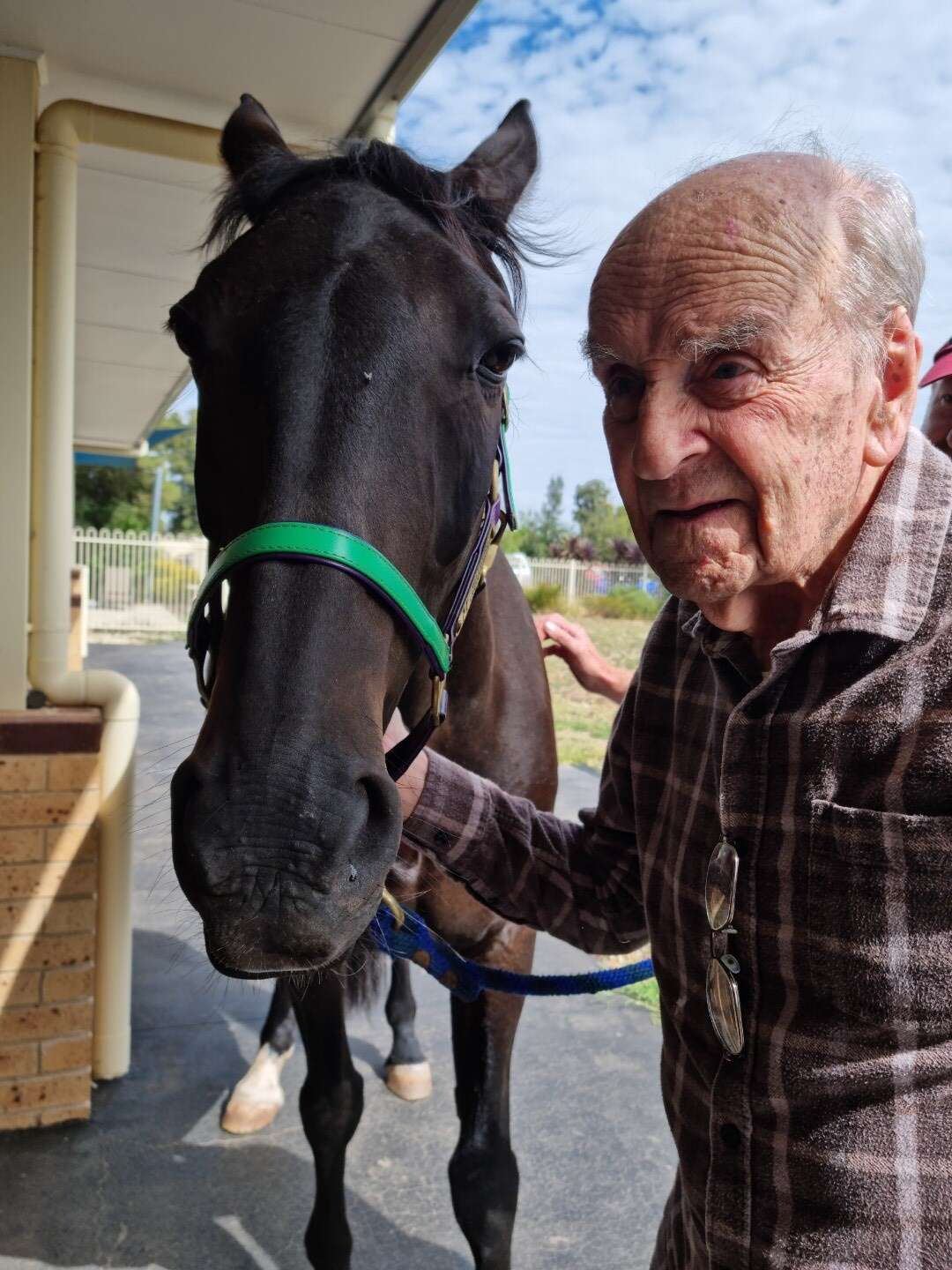 Surprise visit from winning trotter | Country News