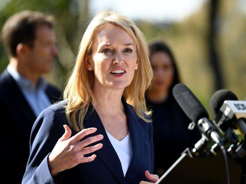 Natalie Ward puts hand up for NSW seat | Country News