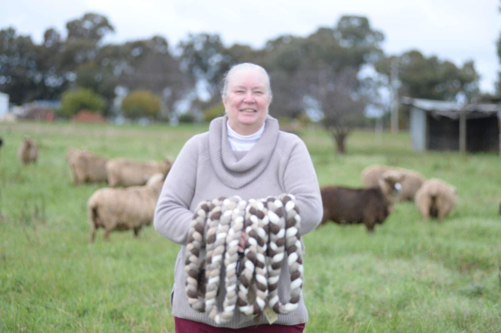 Black sheep and the people who love them | Country News