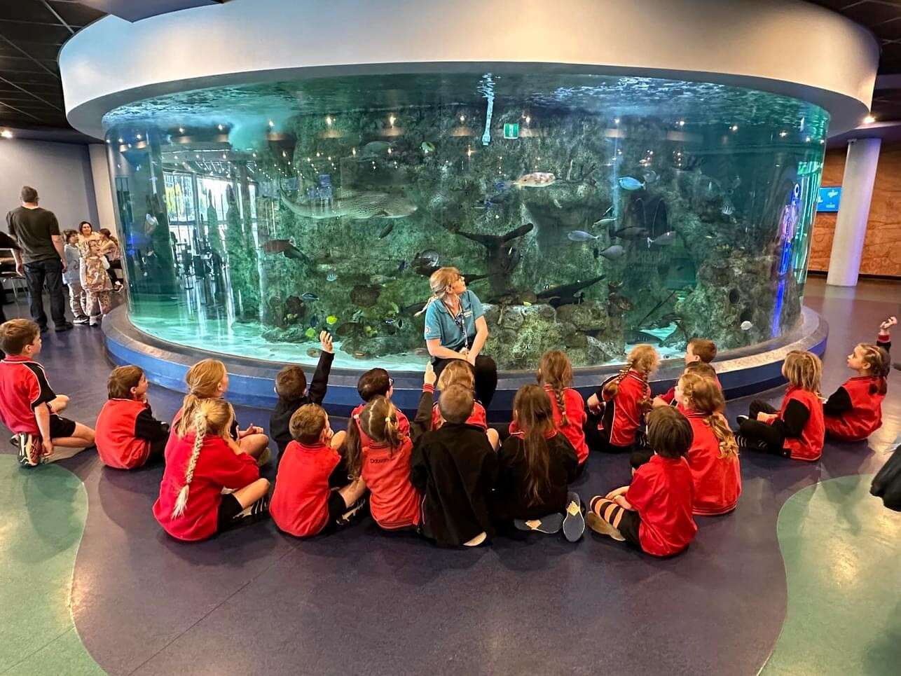 Lockington Consolidated School visit the aquarium: students reeling ...
