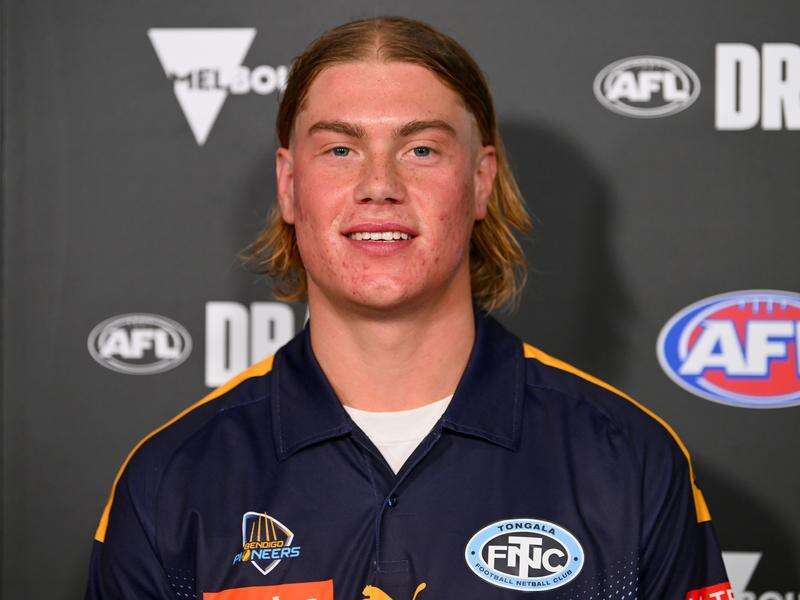 West Coast take Harley Reid with AFL's top draft pick | Country News