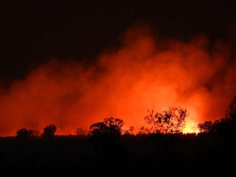 Eighty Queensland fires active, evacuations ordered | Country News