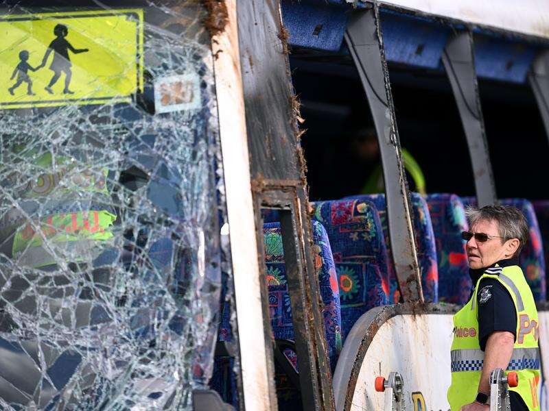 Seatbelt mandate flagged after horror school bus smash | Country News