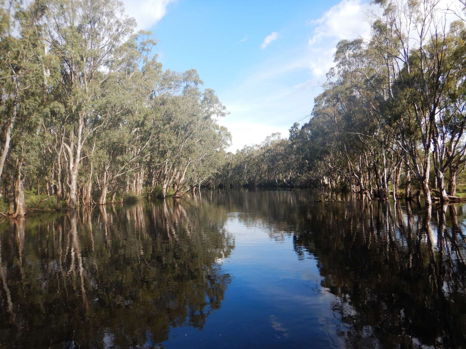 Have your say on plans for Gunbower Creek | Riverine Herald