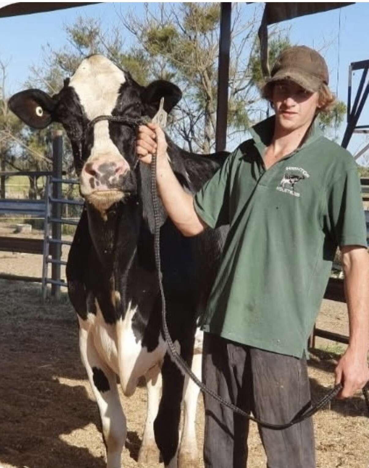Cow of the year | Dairy News Australia