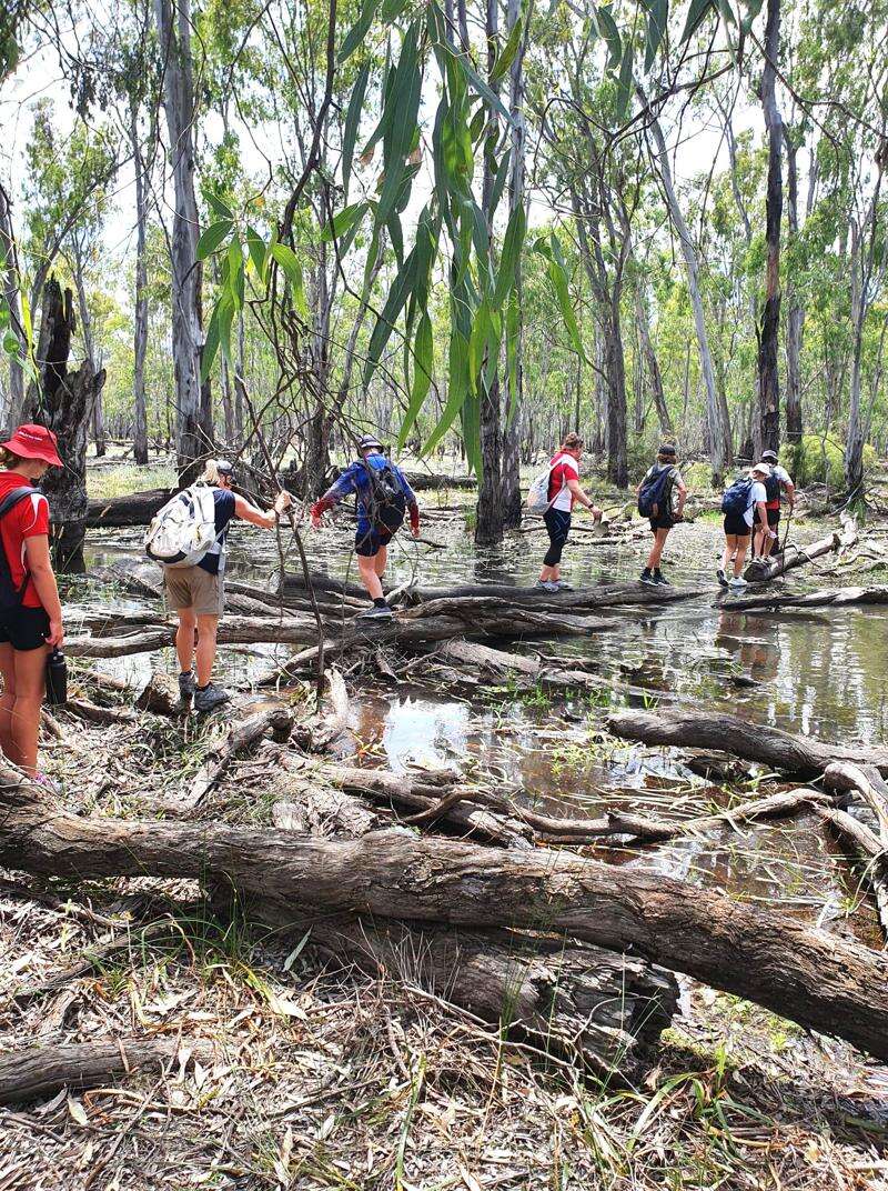 Bush hike for the bronze | Campaspe News