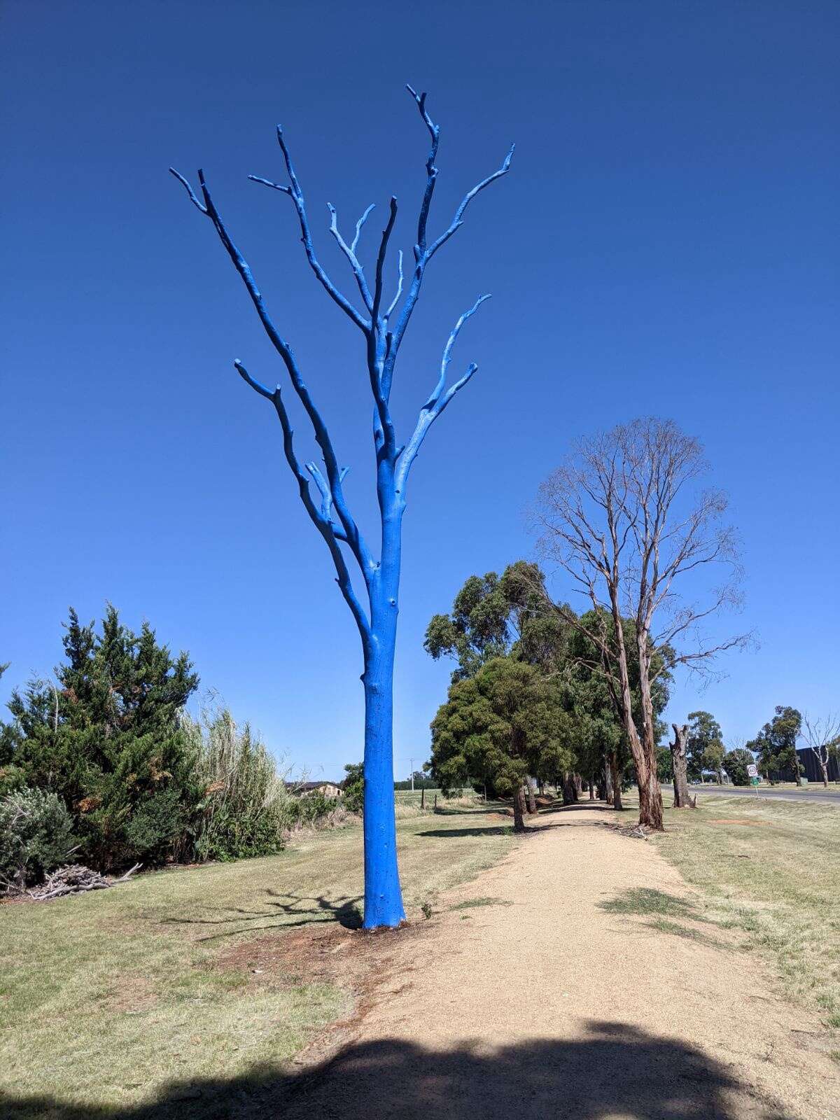 Blue tree to address silence around mental health | Dairy News Australia