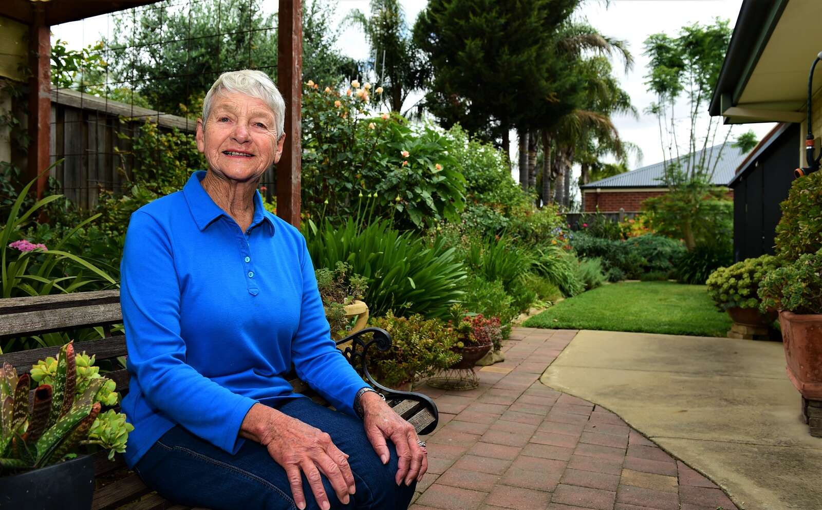 Cultivating joy | Seymour Telegraph