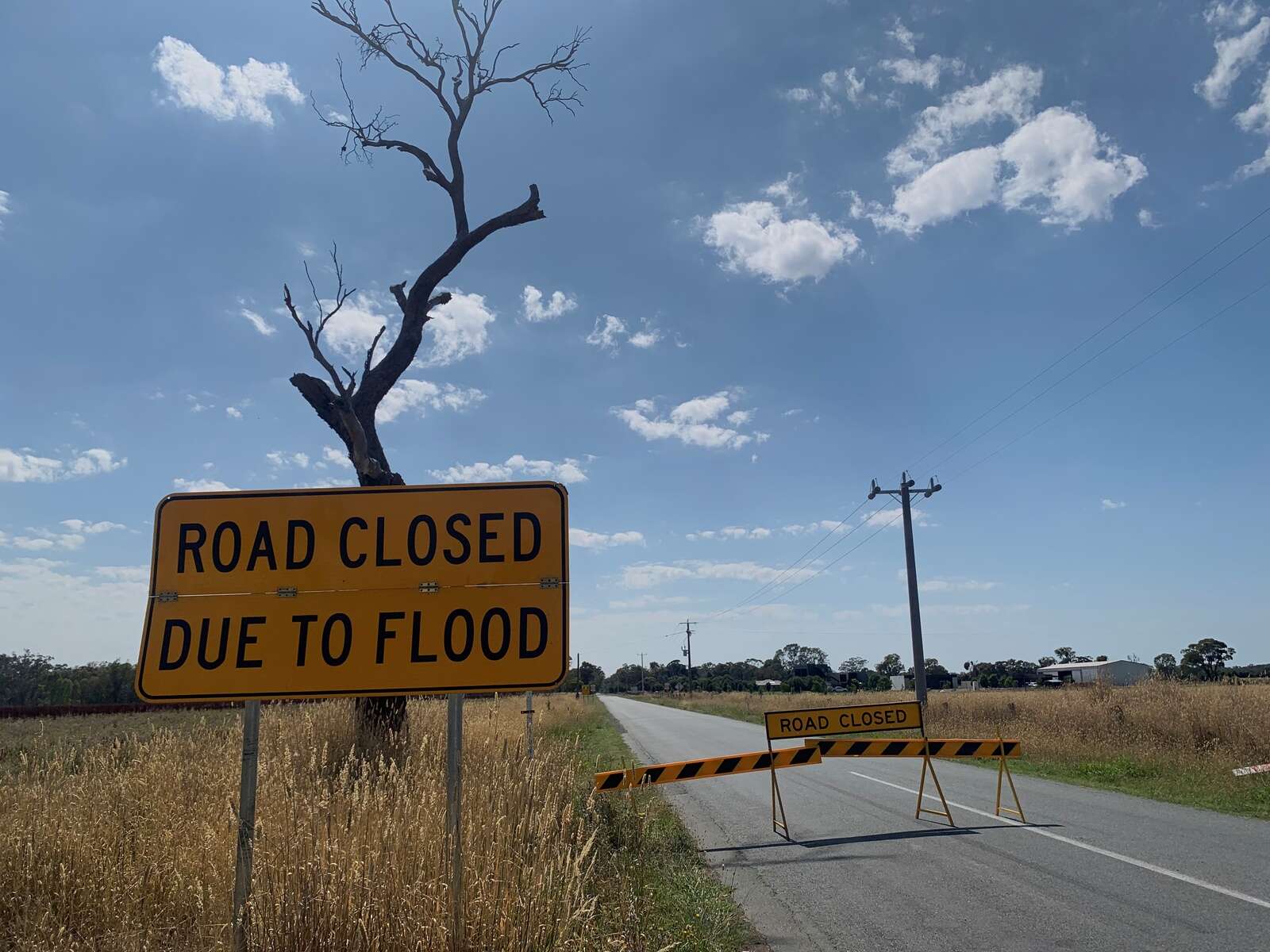 ROLLING COVERAGE | Seymour Telegraph