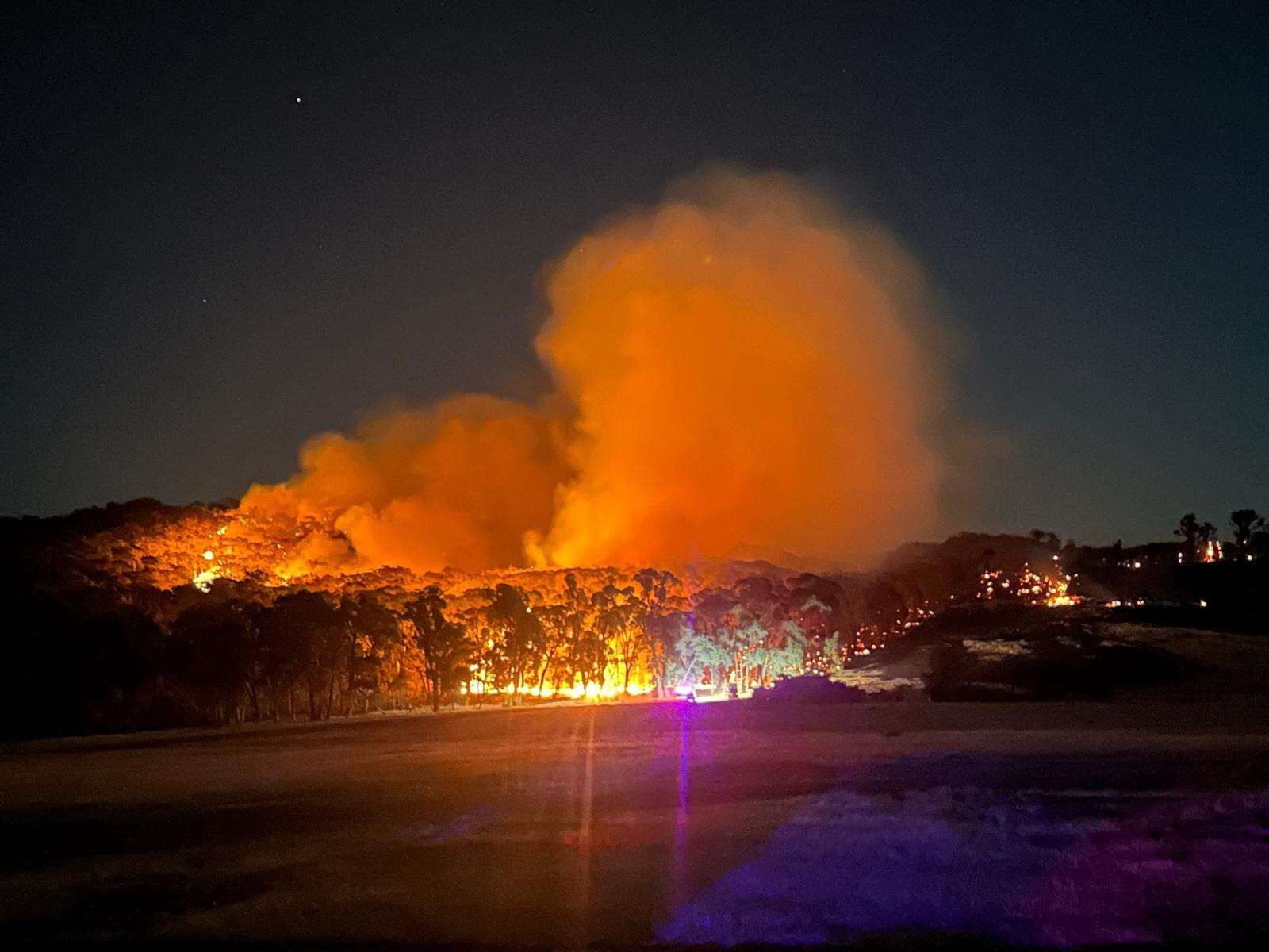 Police say human remains found in Longwood bushfire area | Shepparton News