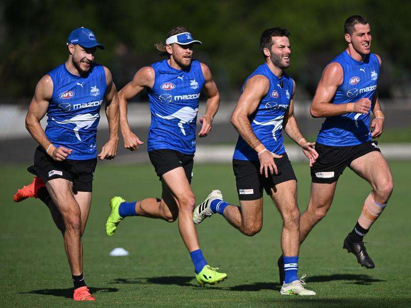 McDonald hails Kangaroos' wholesale changes | Dairy News Australia