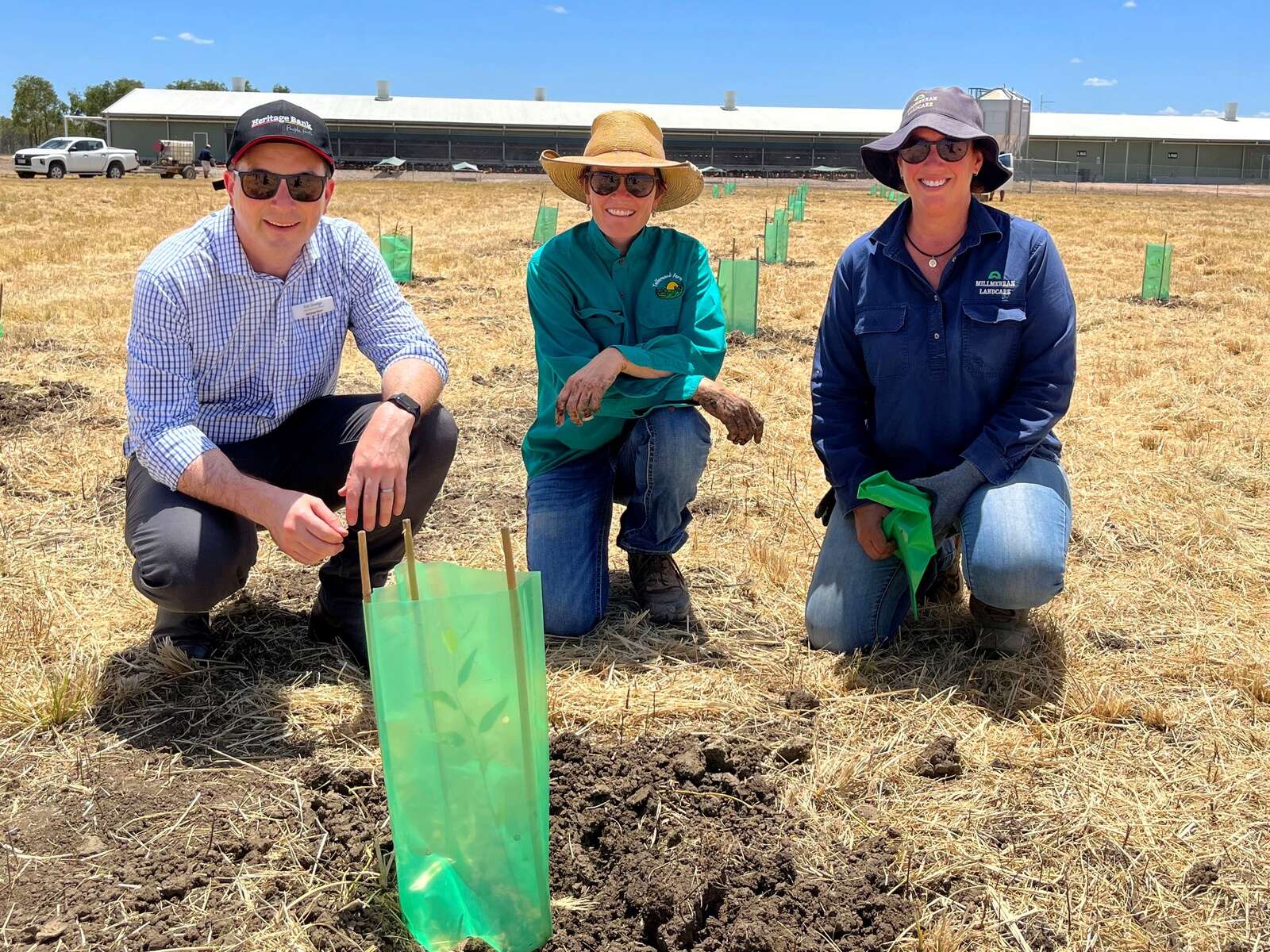 Eco-friendly cards to bank on | Shepparton News