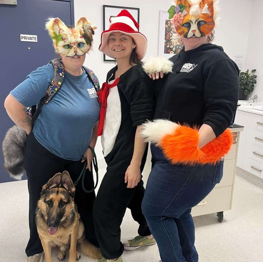 Every tail deserves a second tale | Dairy News Australia