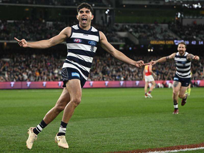 Cats' Stengle the AFL story of the year | Country News