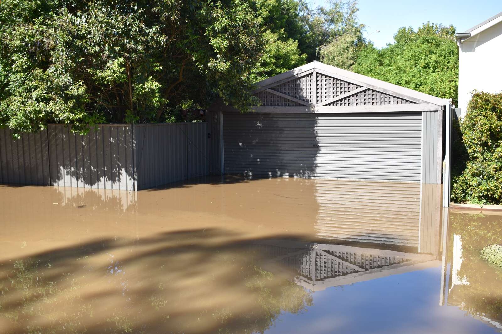Rolling updates: Moama braces for further flooding, Campaspe set to ...