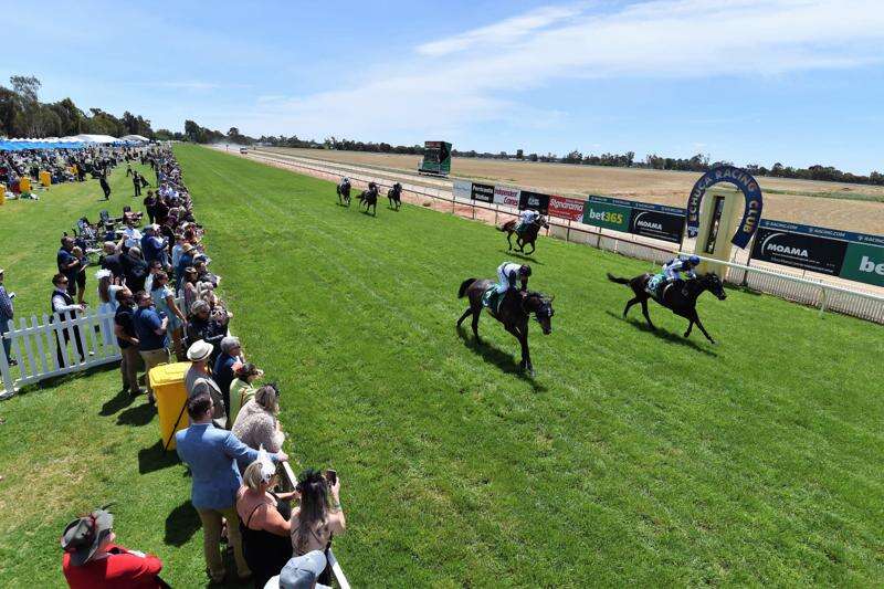 Good Friday racing on the cards and Echuca could be the lucky first to ...