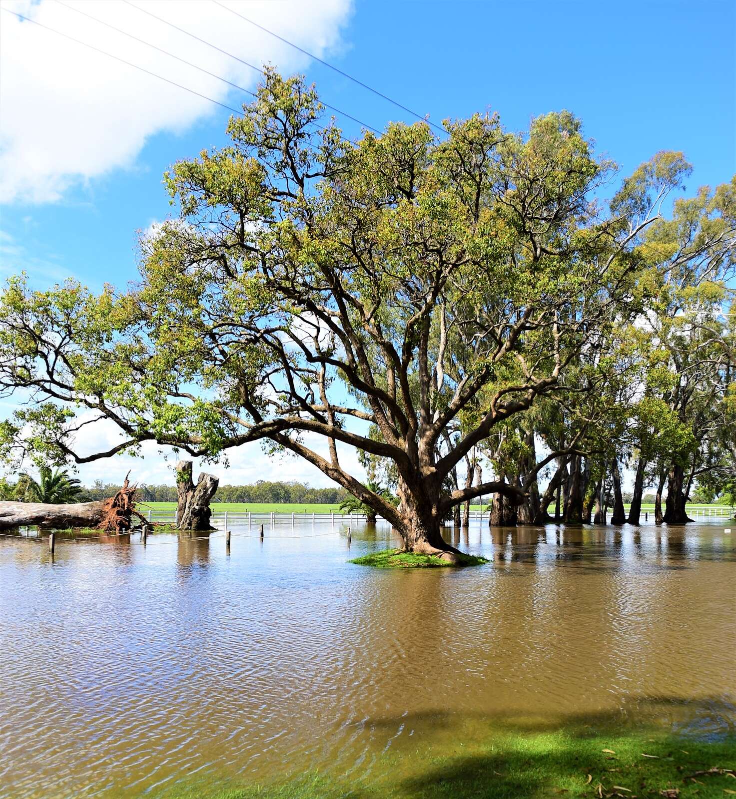 The Plan | Flood recovery | Corowa Free Press
