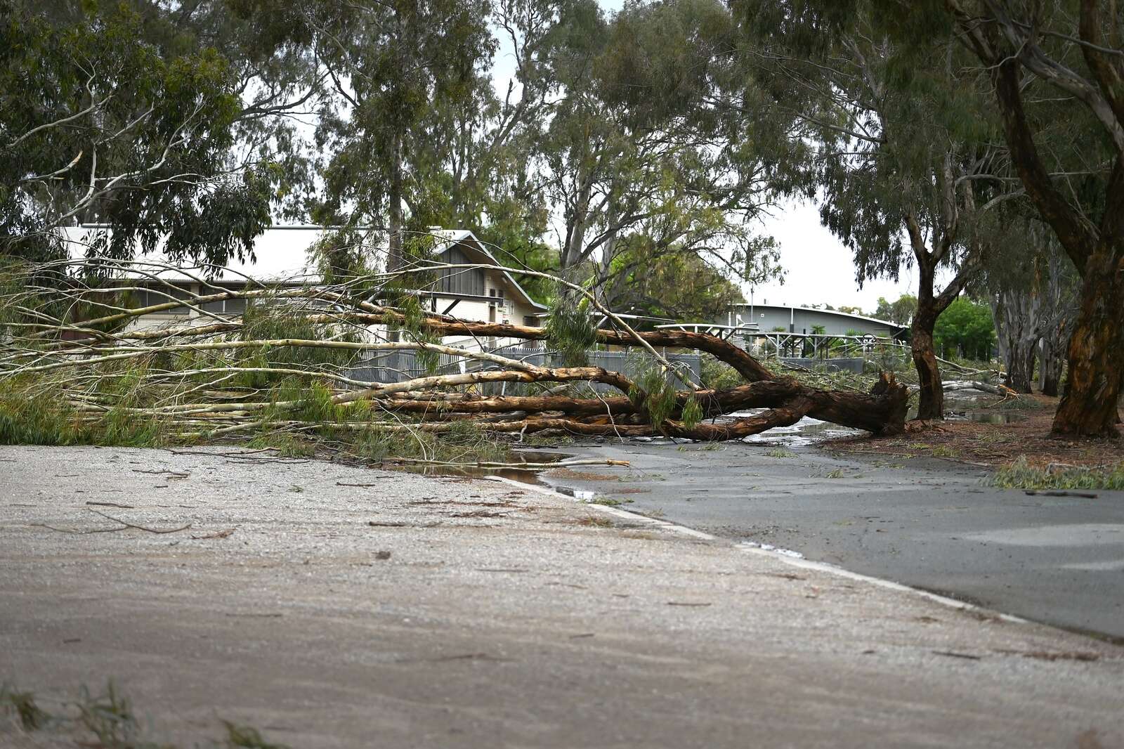 Footage and snaps from Sunday’s wild weather event | Shepparton News