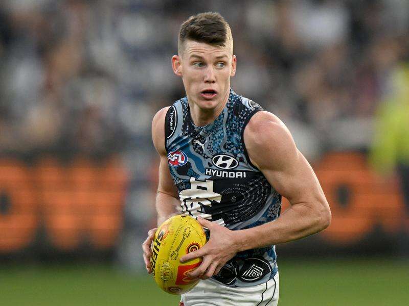 Back surgery sidelines Carlton star Walsh | Country News