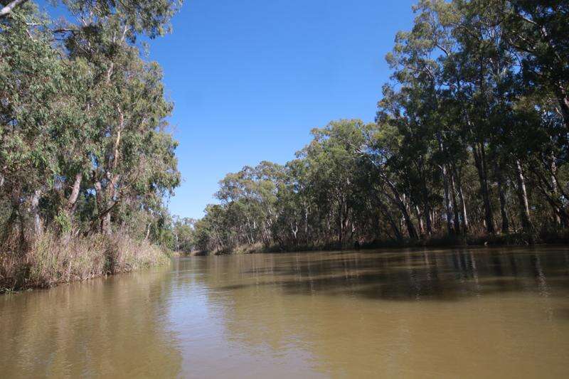 MDBA chief promises basin plan transparency | Shepparton News