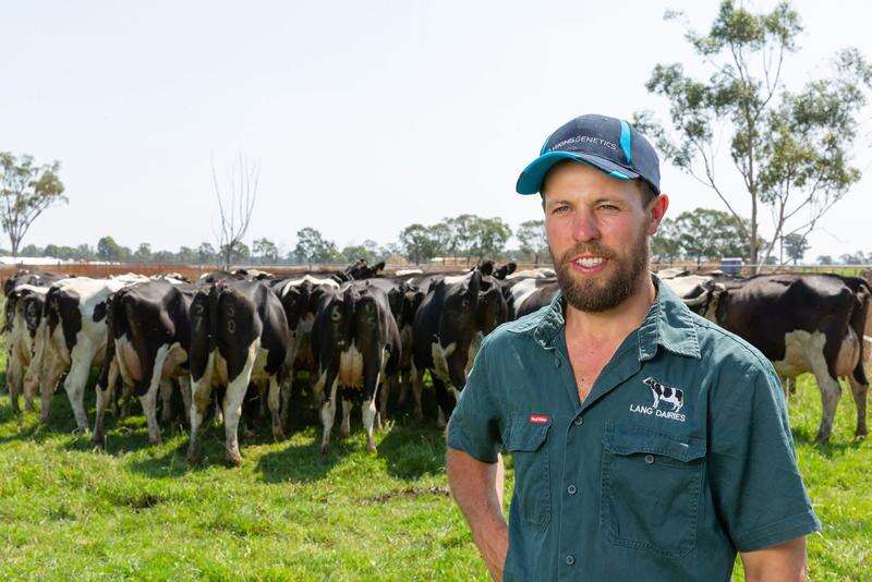 Tatura dairy celebrates healthy success | Country News