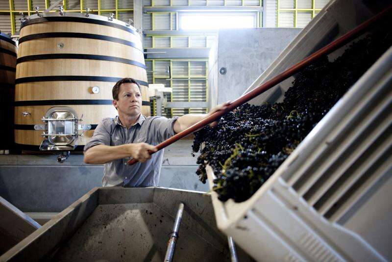 Australian-first awards recognise Mt Camel Range vineyards | Country News