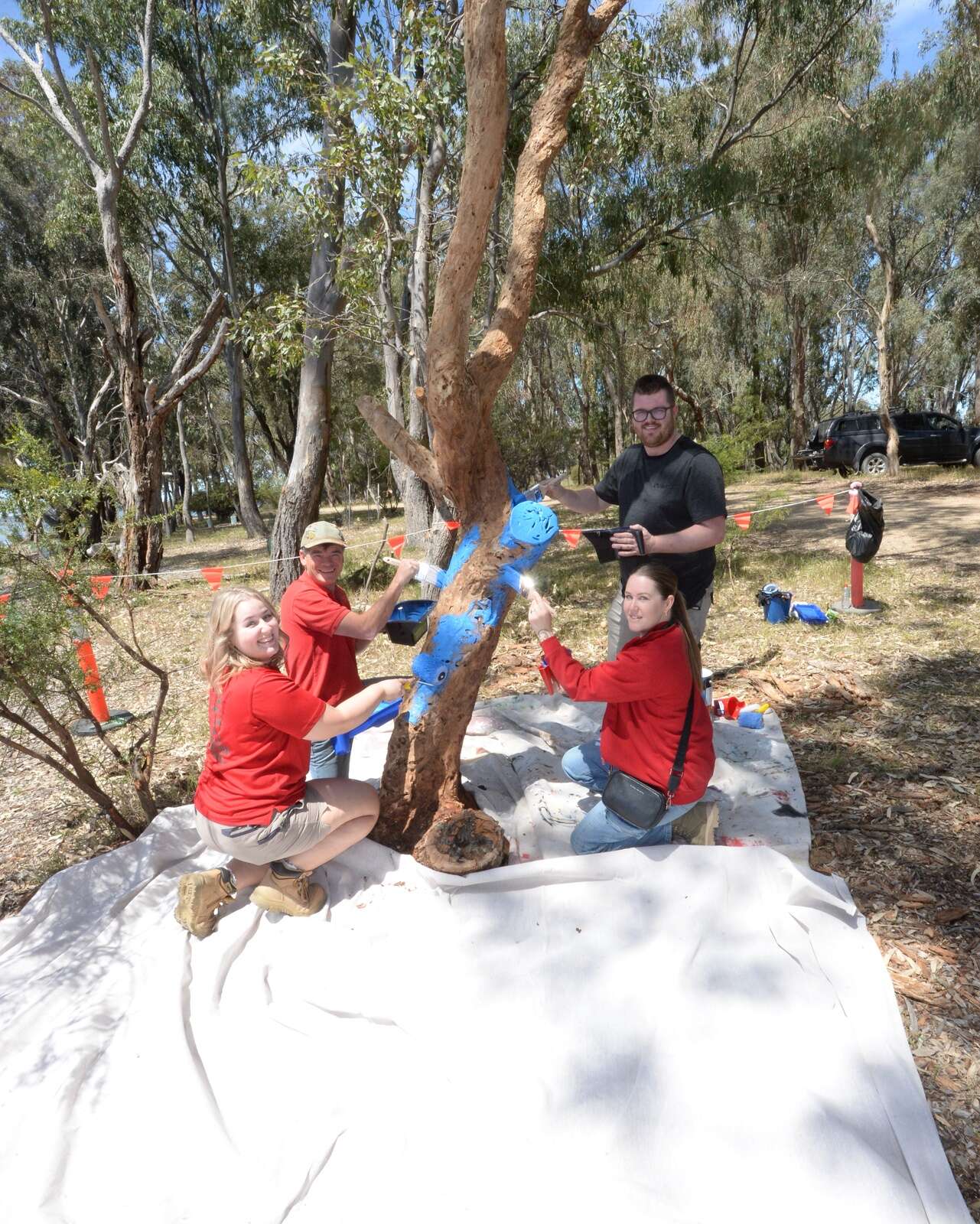 Blue tree of mental health hope | Shepparton News