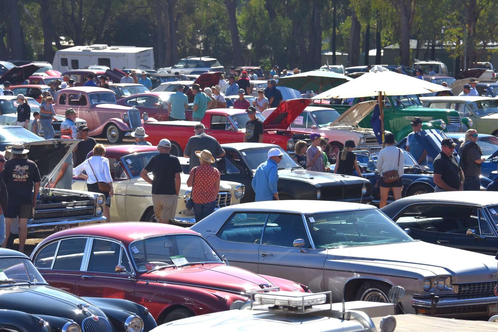 Swanpool Motor Festival: Cars, cash, and a day of fun | Seymour Telegraph