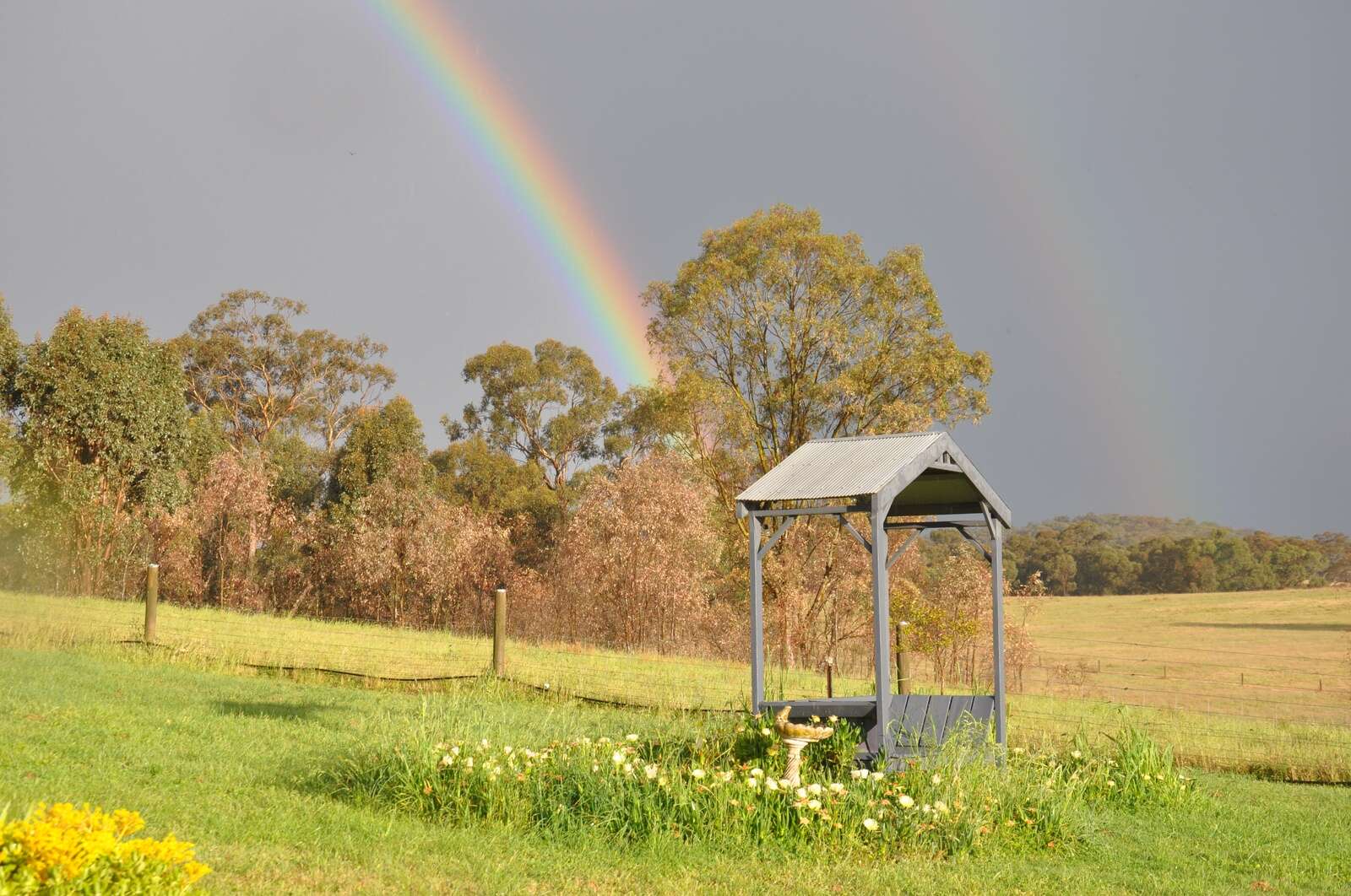 Gallery: Spring has Sprung | Seymour Telegraph