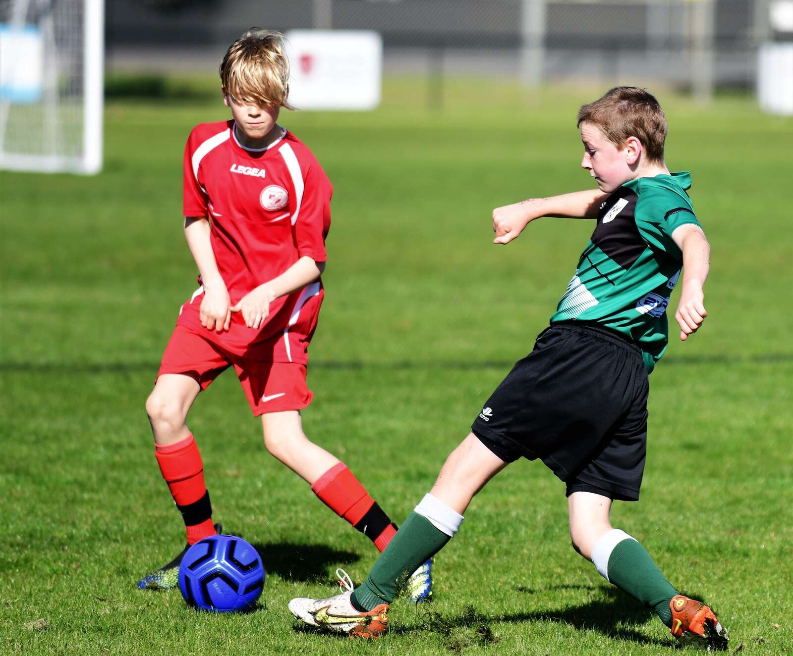 Finals galore for Border Raiders | Riverine Herald