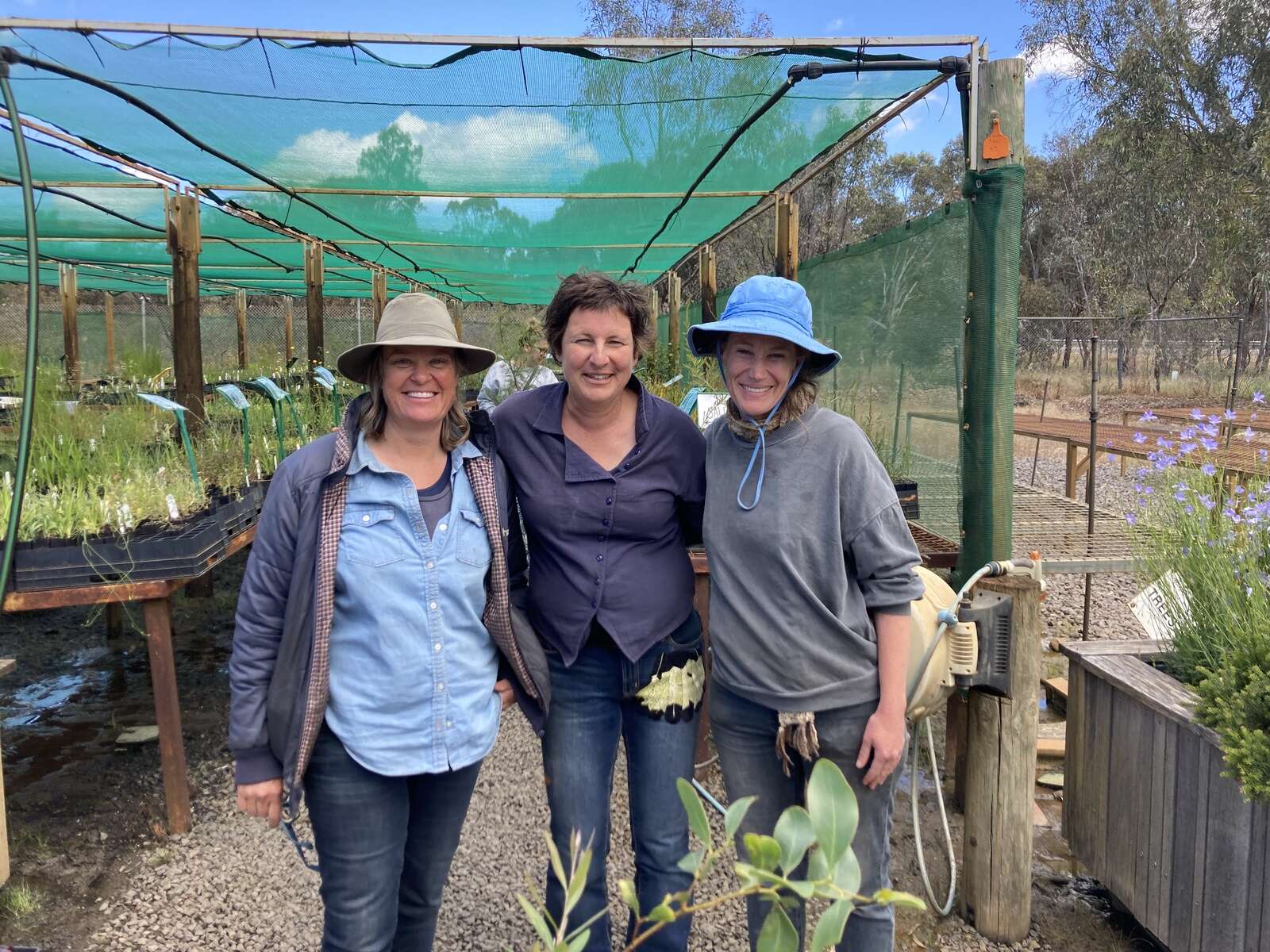 Arboretum ready for prime-time TV | Dairy News Australia