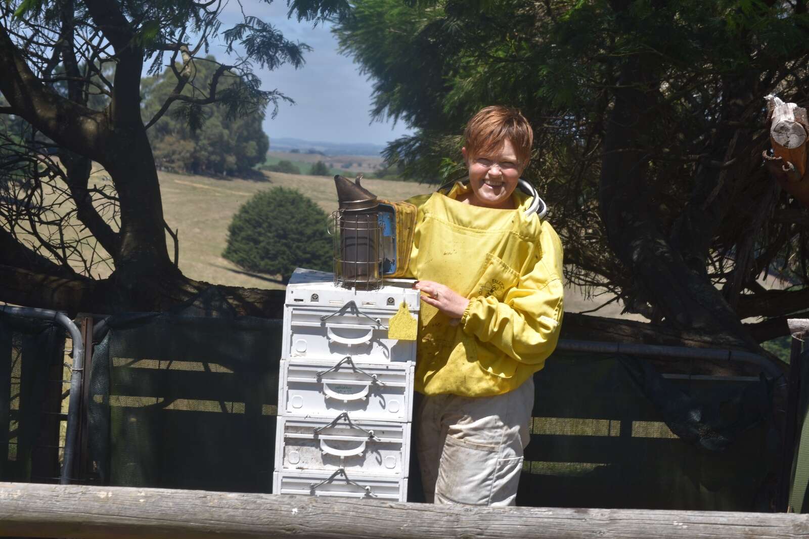 A hive of activity | Dairy News Australia