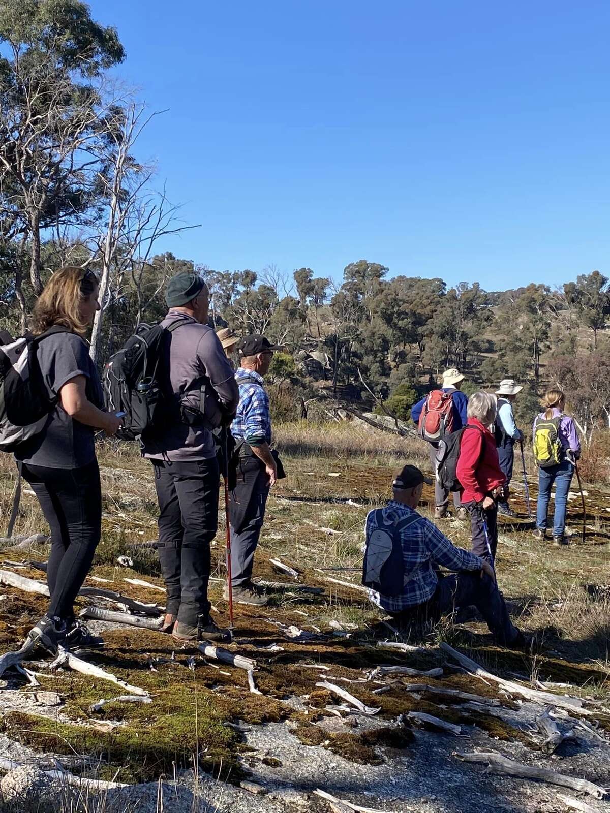 Benalla Bushwalkers enjoy 7.5k trek from Boat Hole | Dairy News Australia