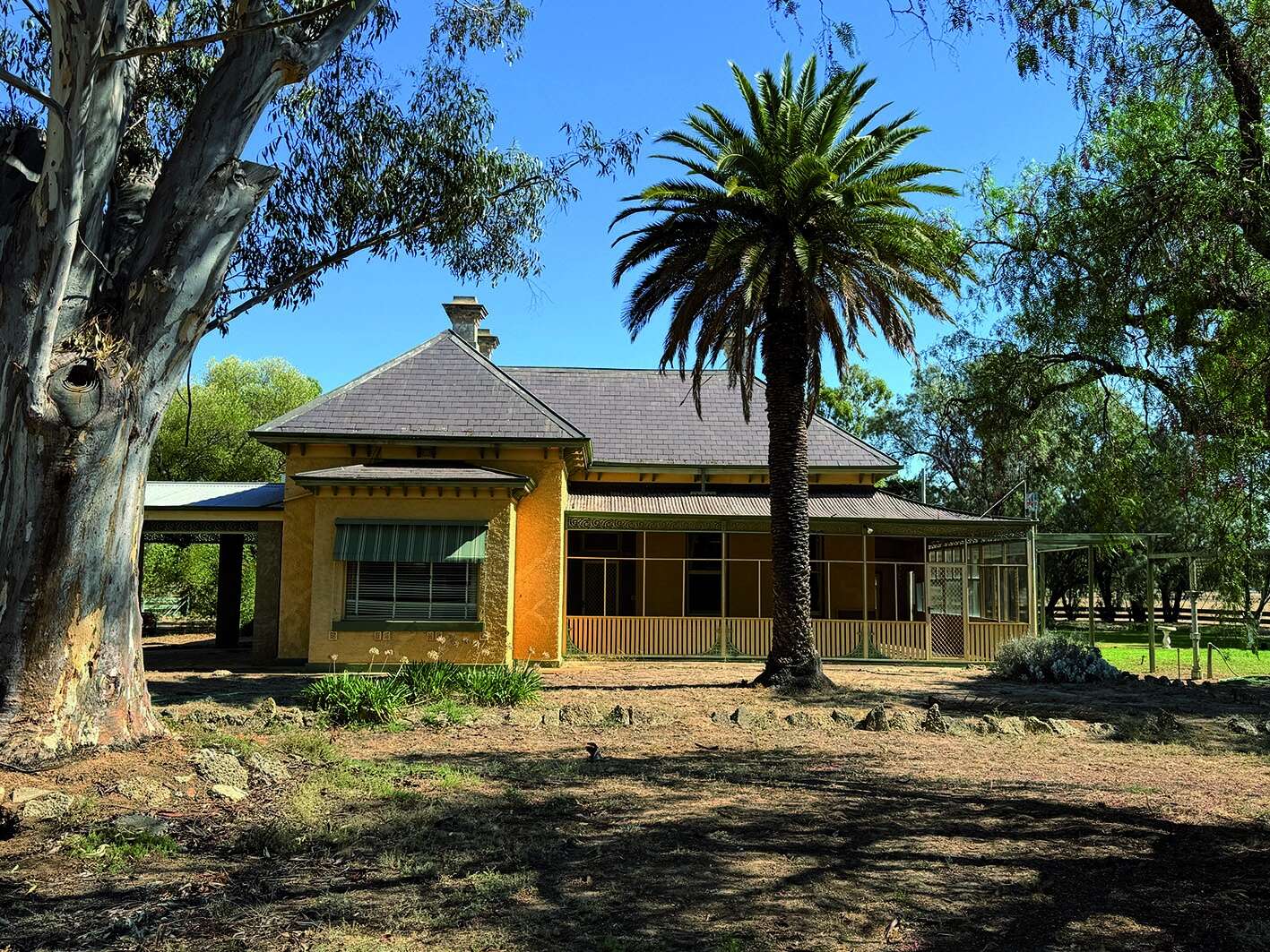 Grand homestead on 40 hectares | Deniliquin Pastoral Times