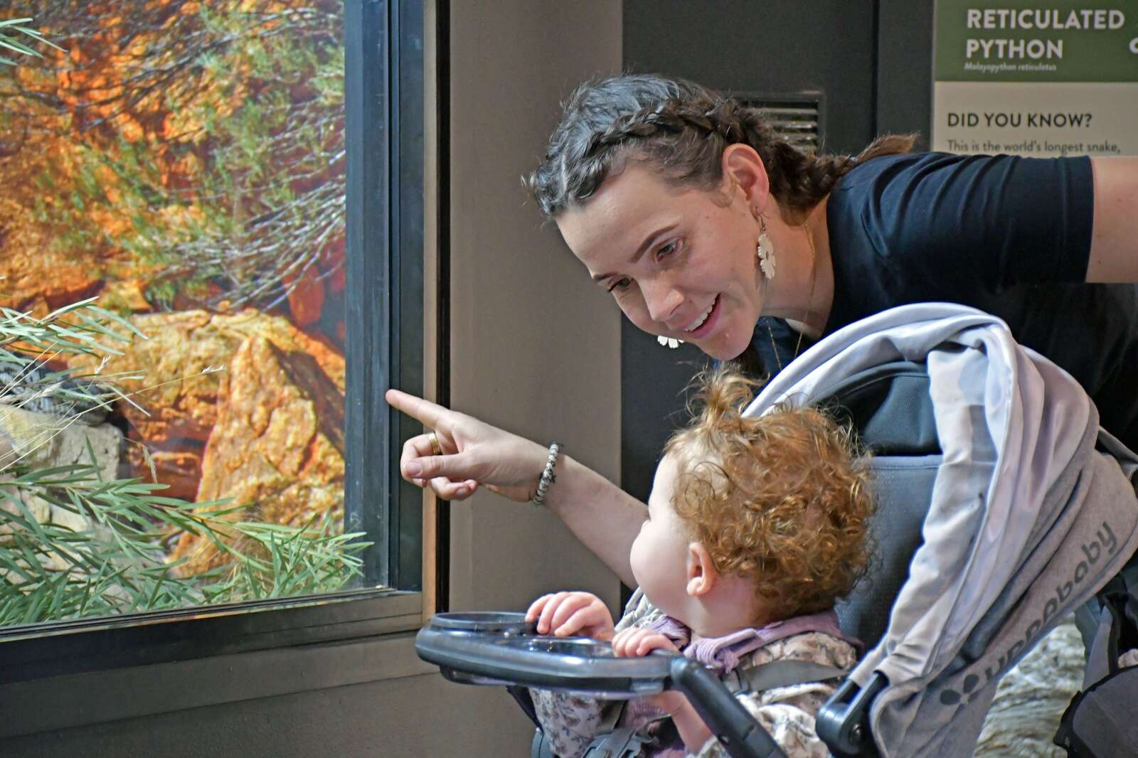 Kyabram Fauna Park’s new look, new accreditation | Shepparton News