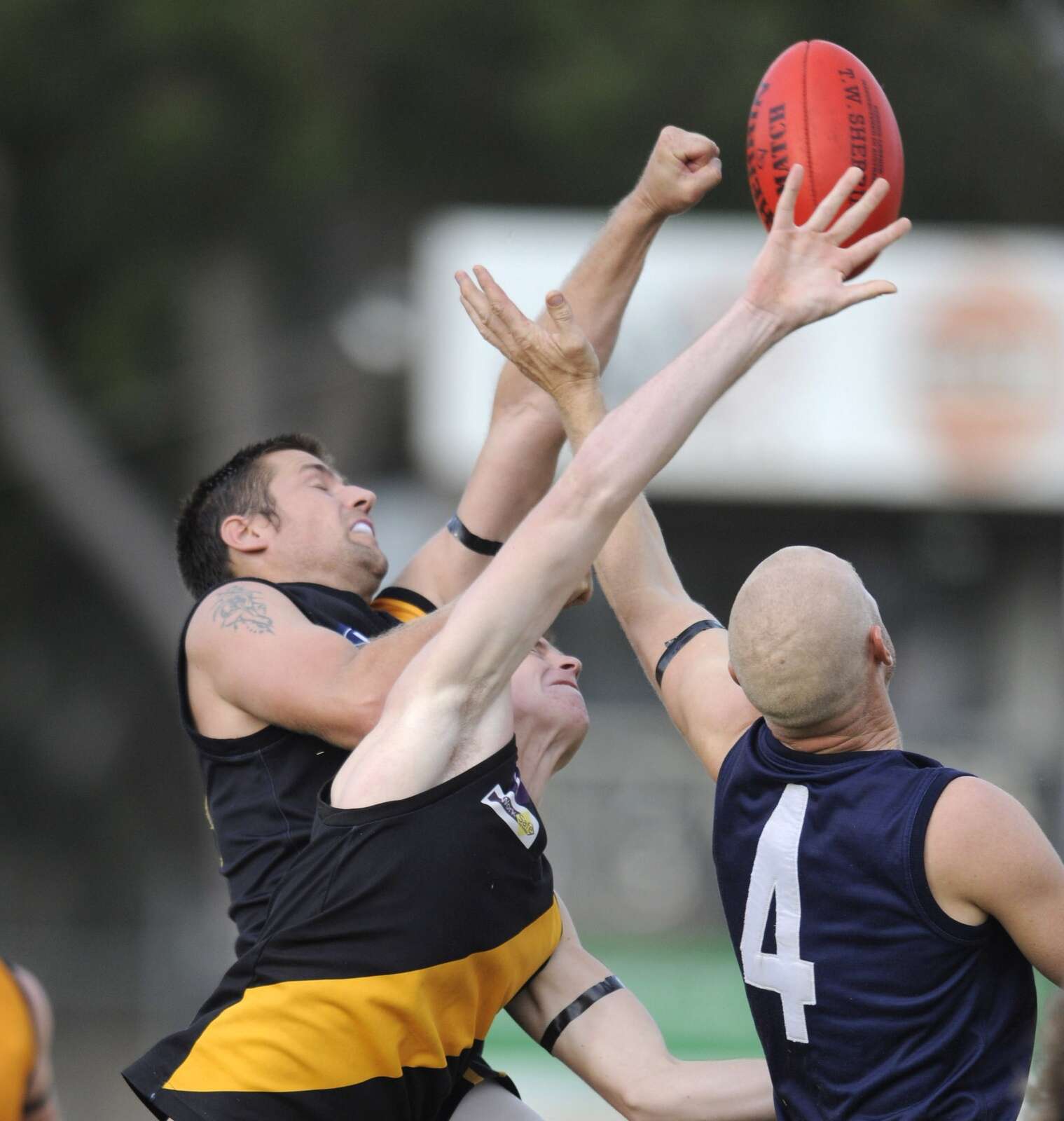 Sabre-tooth Tigers gnash teeth in clash against the formerly unbeaten ...