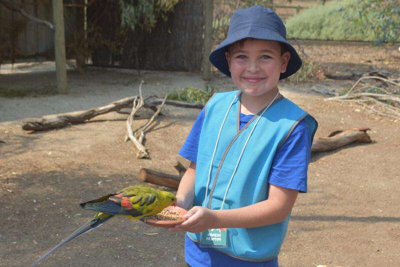 Fauna Park to open with a bang in time for school holidays | Kyabram ...