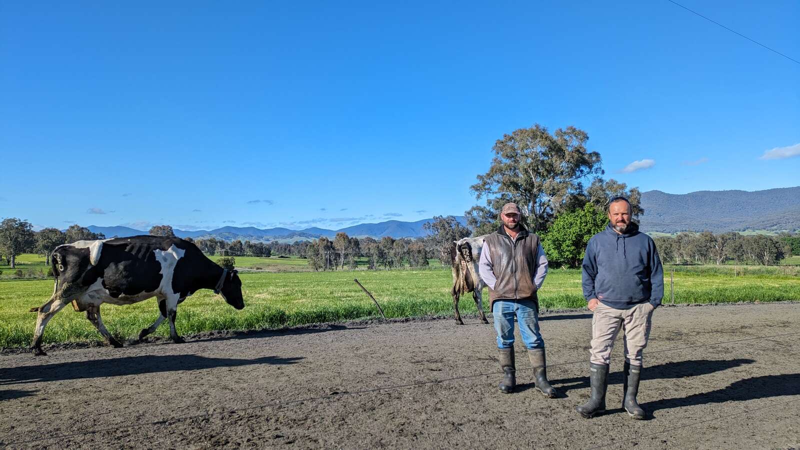 Doing small things well all adds up | Dairy News Australia