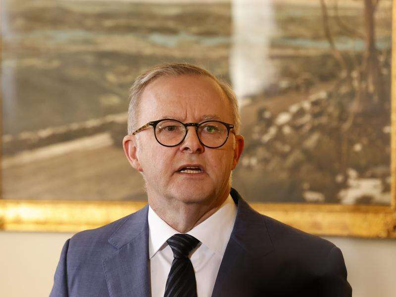 Albanese defends voice over High Court concerns | Country News