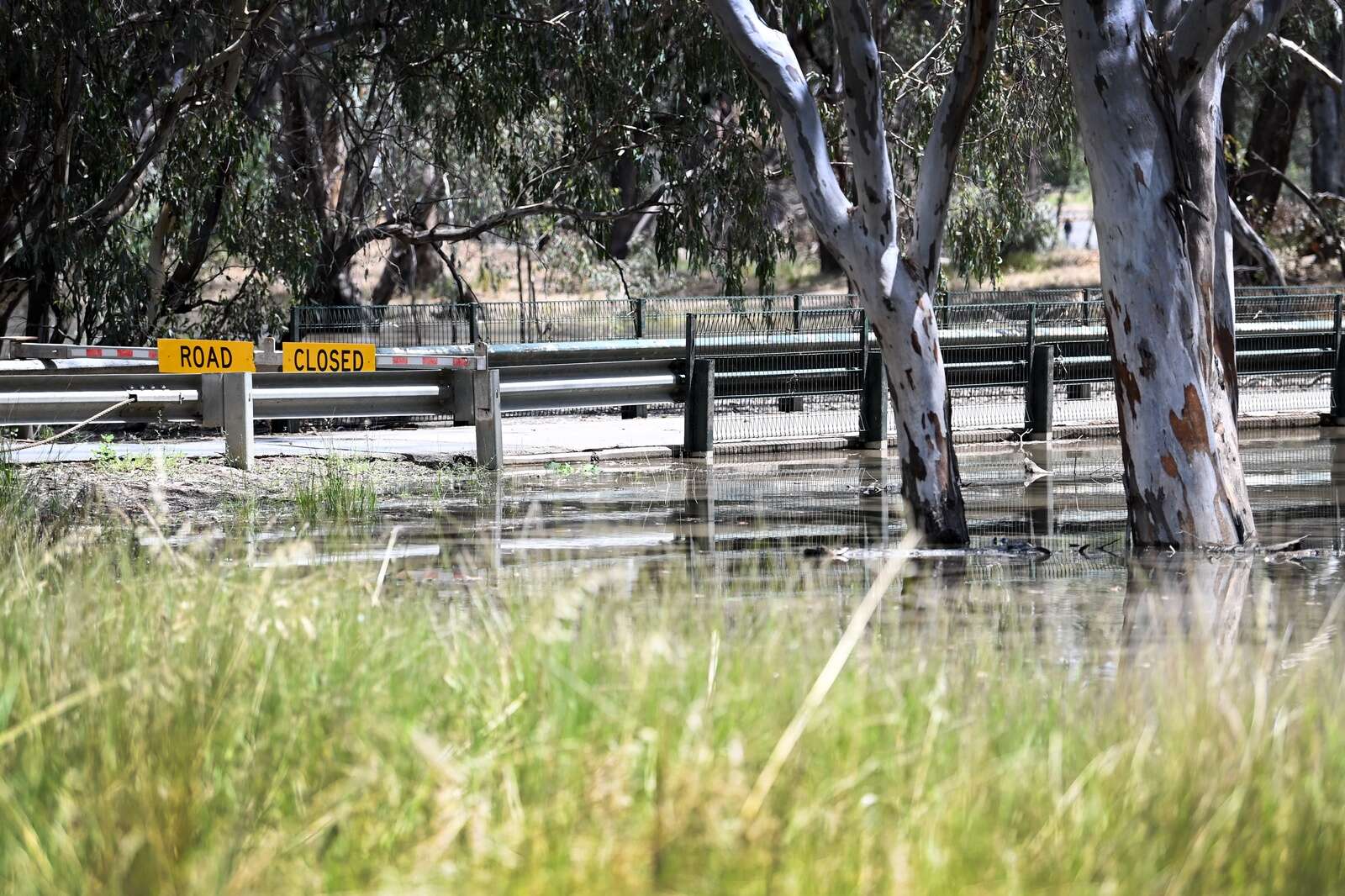 WATCH | Greater Shepparton floods Wednesday, January 10 | Shepparton News
