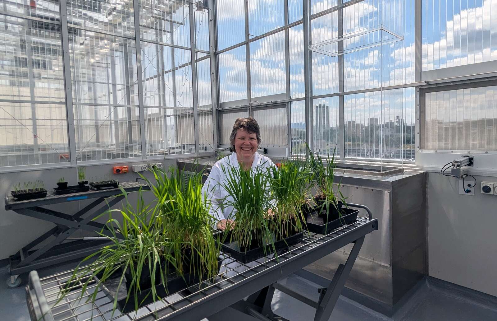 Game changer in uni ag experiments | Country News