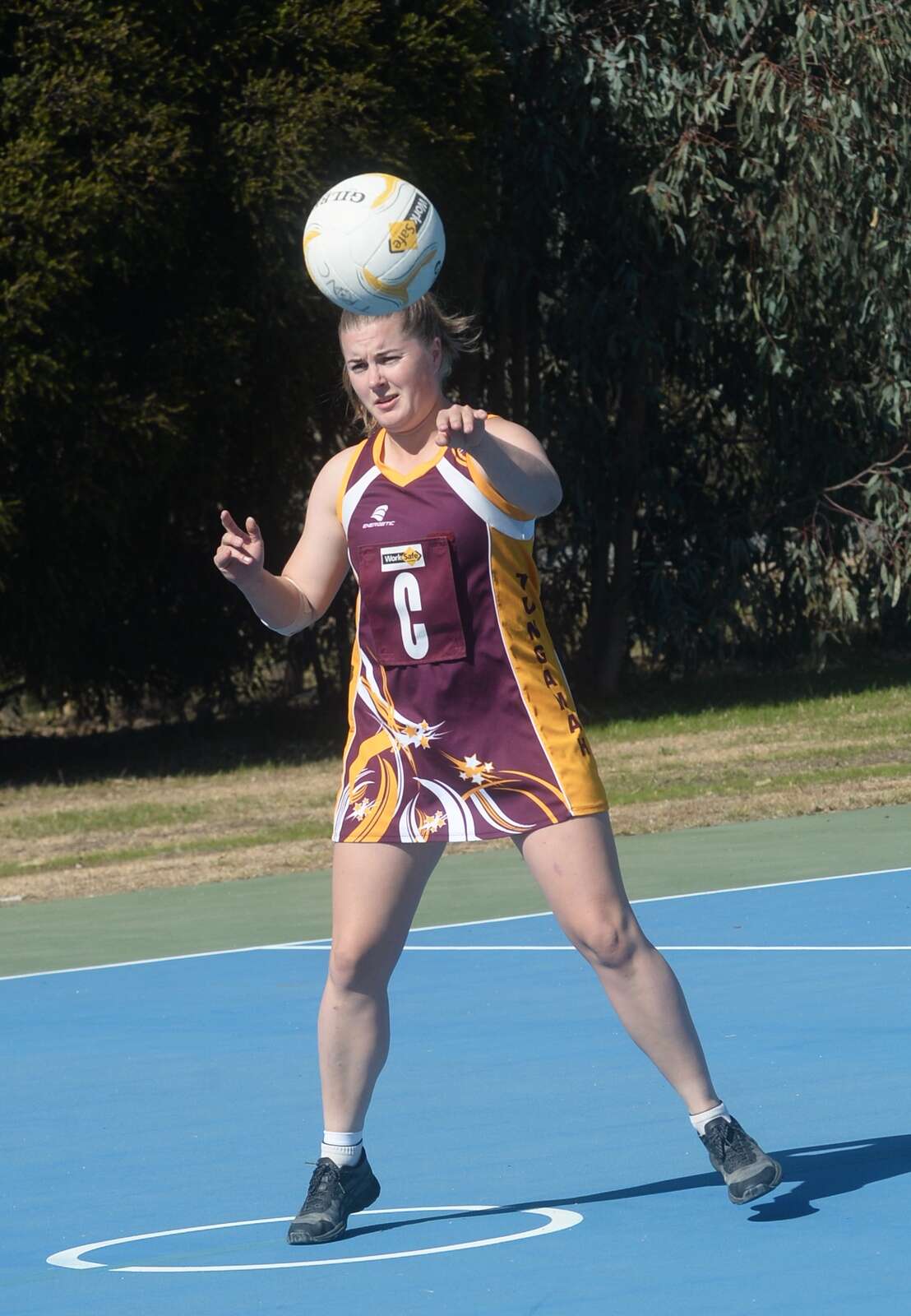 Bears take the chocolates | Shepparton News