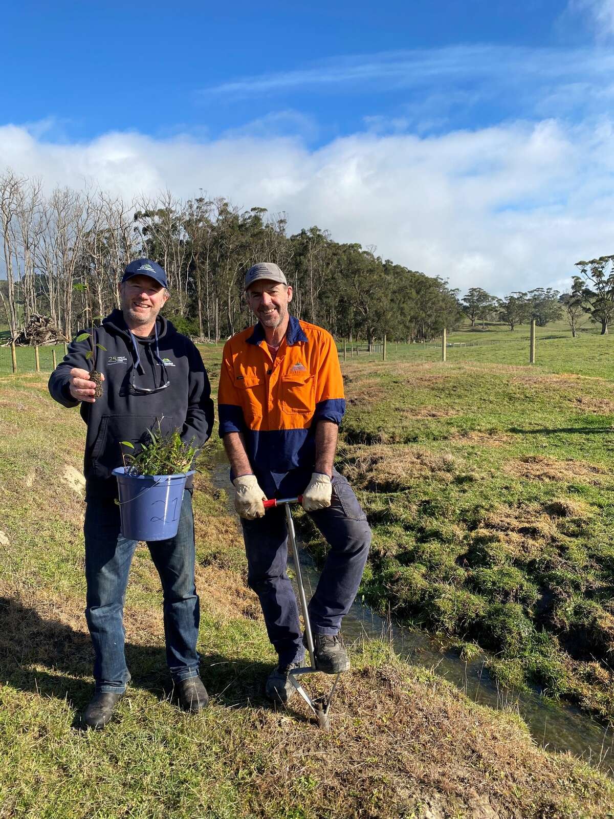 Painting the landscape with trees | Shepparton News