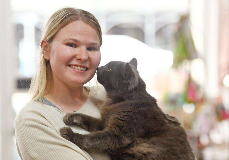 Pud the cat loves greeting customers | Shepparton News