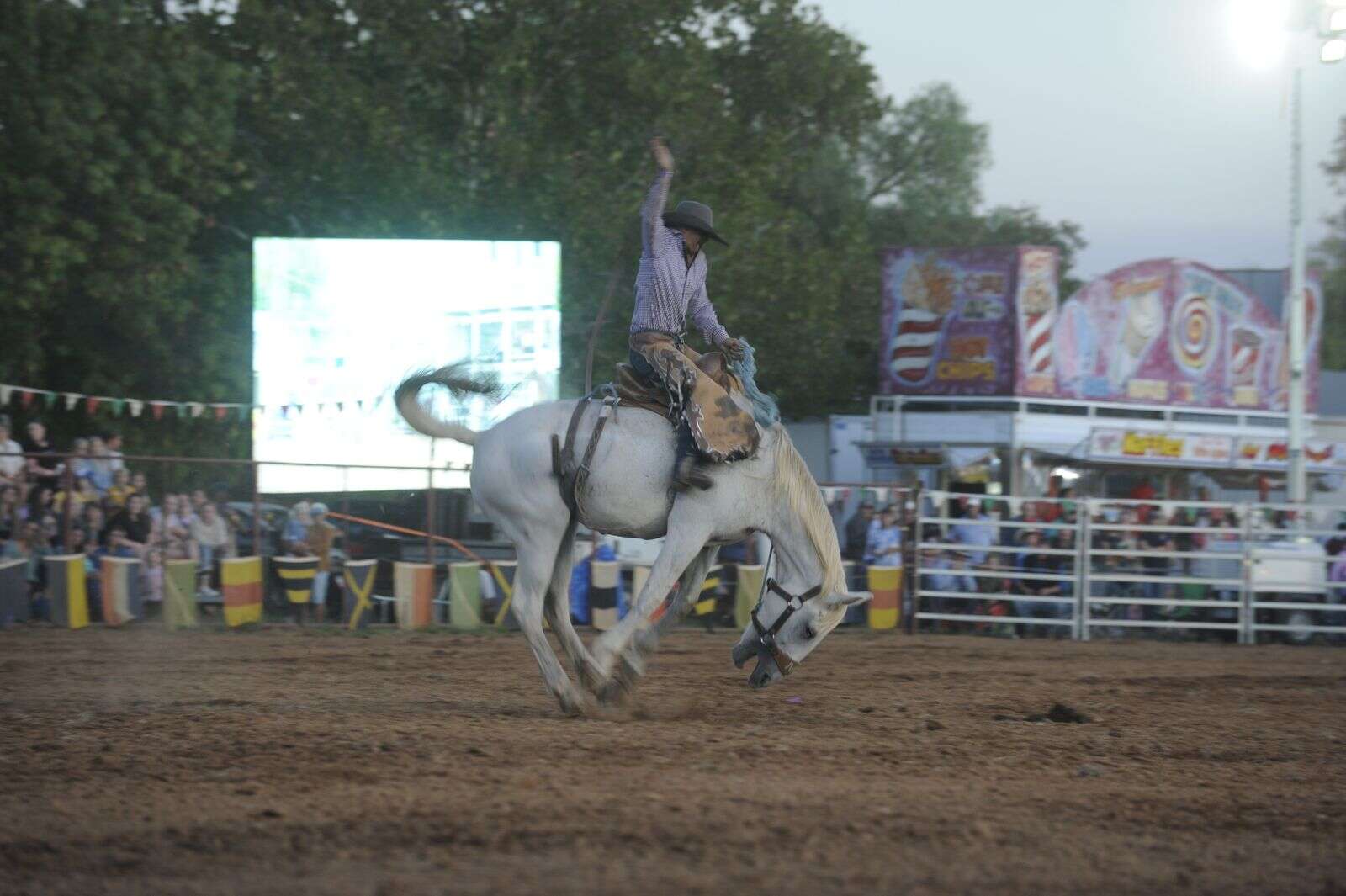 Bucking brilliant: Rodeo back with a bang | Shepparton News