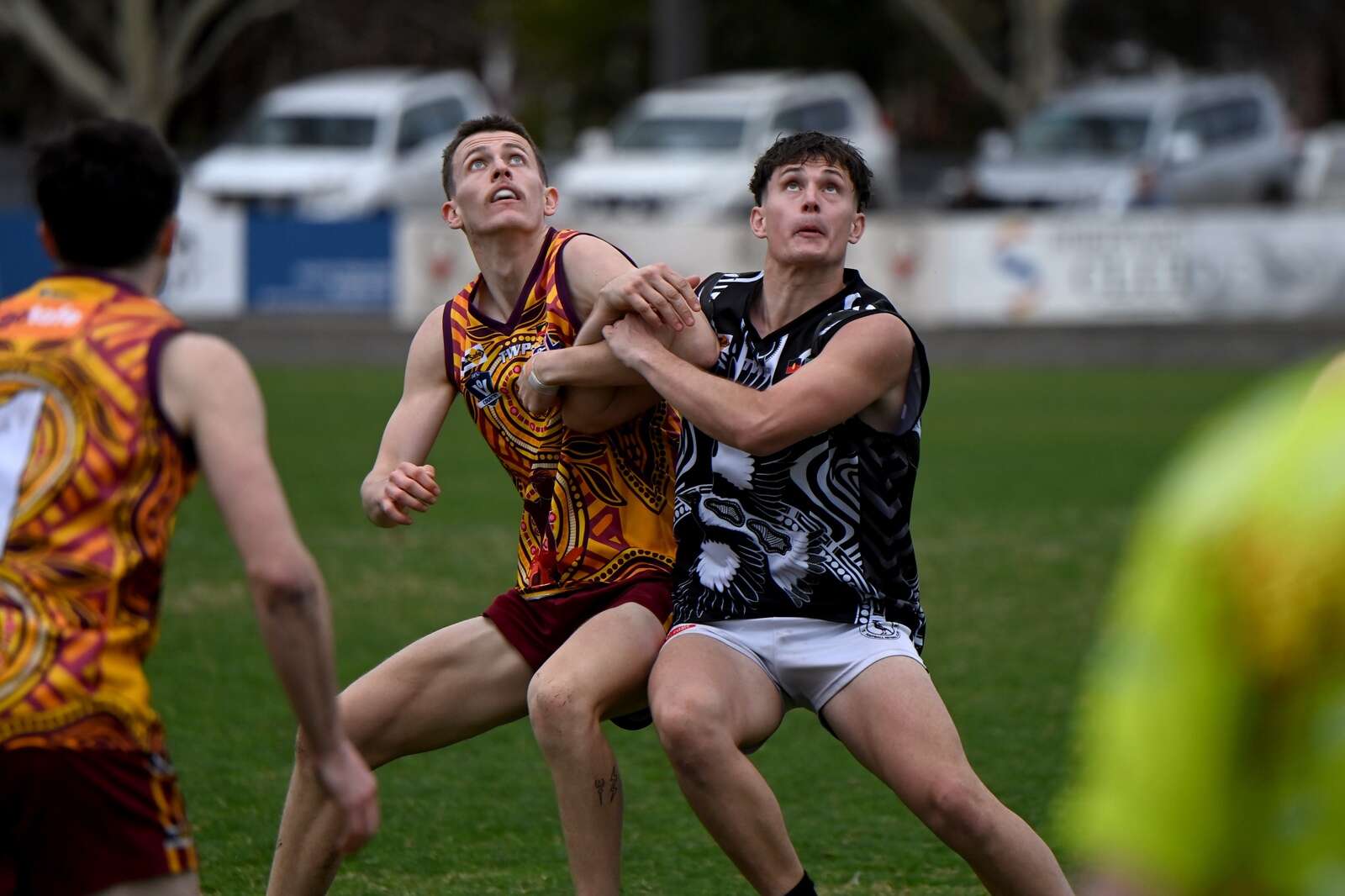 Bears maul Magpies to make it four straight | Shepparton News