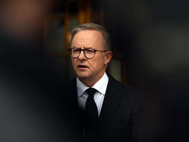 Albanese to meet with King Charles III | Country News