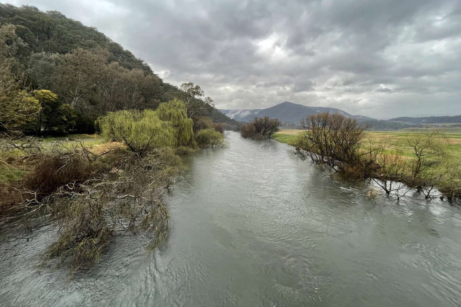 Muster up some fun at Mitta Mitta on the long weekend | Riverine Herald