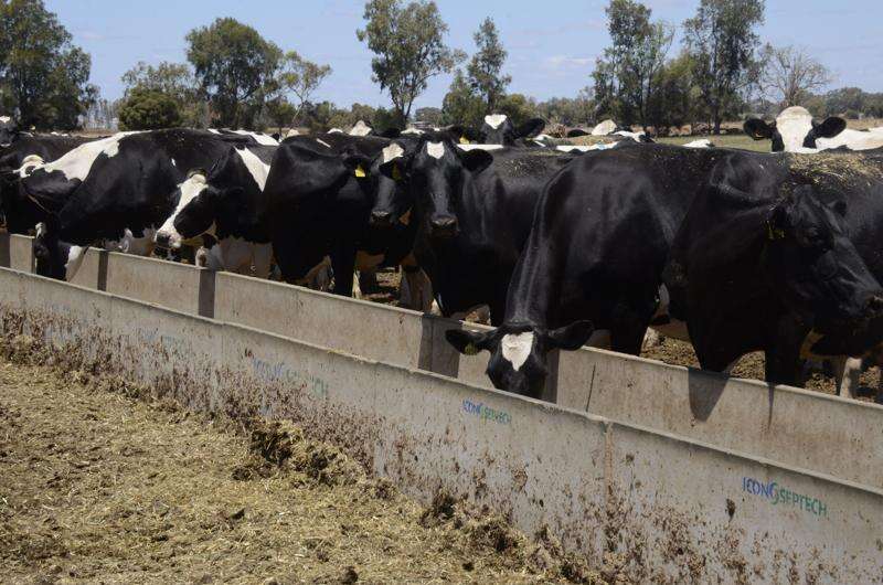 Agriculture is pulling its weight | Country News