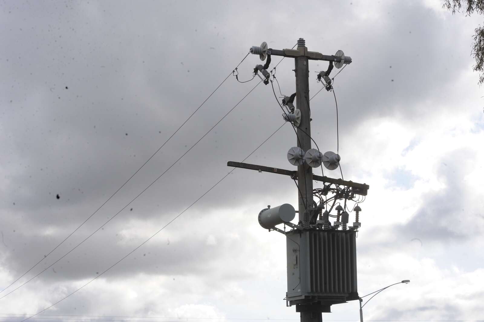 Electric plans for power poles | Dairy News Australia